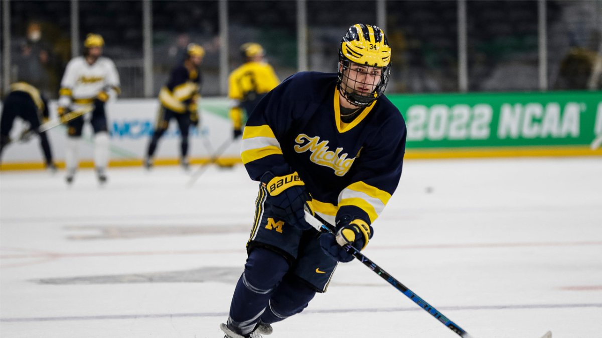 Prospect Thomas Bordeleau signs with Barracuda, could play Wednesday ...