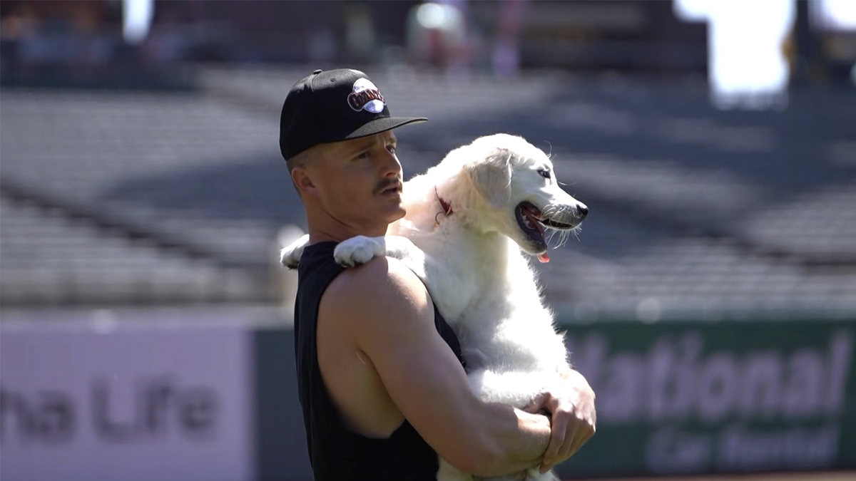 Watch Matt Chapman’s dog Harley adorably interrupt Phillies pregame ...