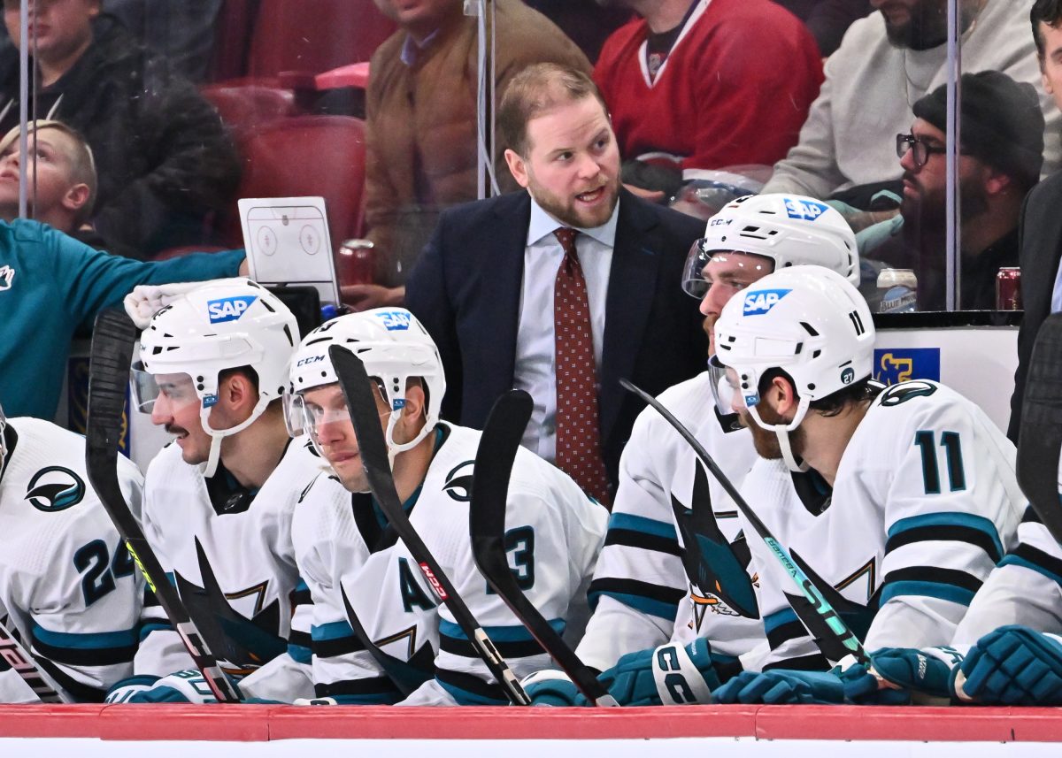 Why new Sharks coach Ryan Warsofsky equipped for challenge that awaits ...